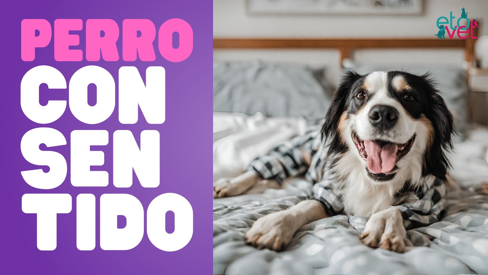 ¿Es un Perro Consentido? – Medicina de la Conducta